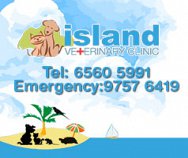 Island Veterinary Clinic Pte Ltd @ HDB Jurong East Ville
