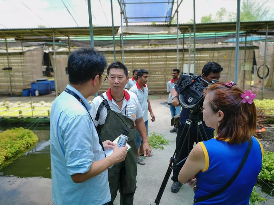 Nippon Koi Farm Pte Ltd @ Nippon Koi Farm