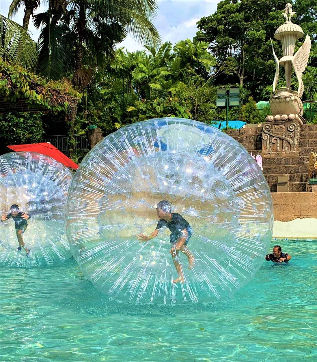 Adventure Cove Waterpark @ Main Entrance @ Adventure Cove Waterpark