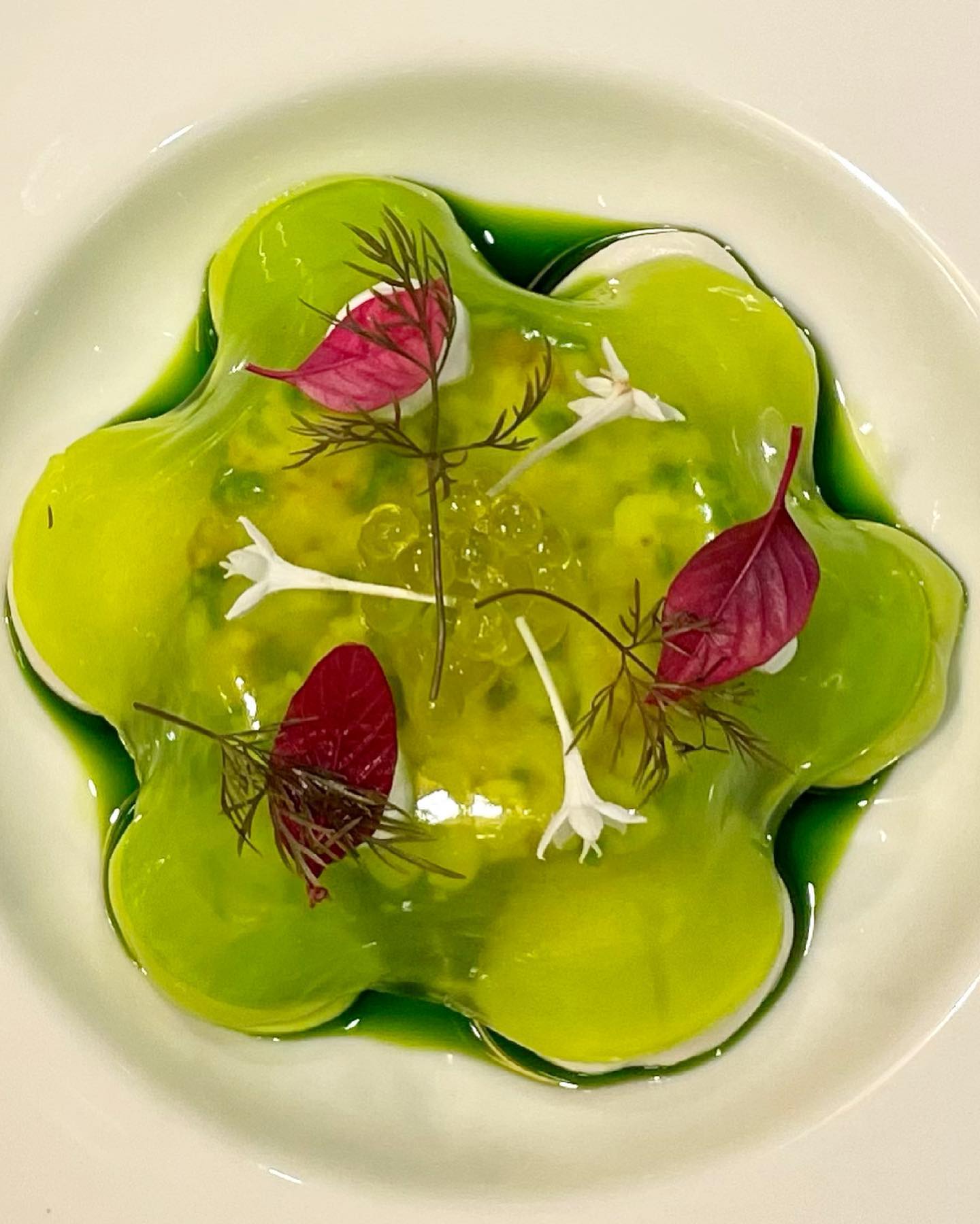 Rhubarb le Restaurant @ Tanjong Pagar Shop Houses