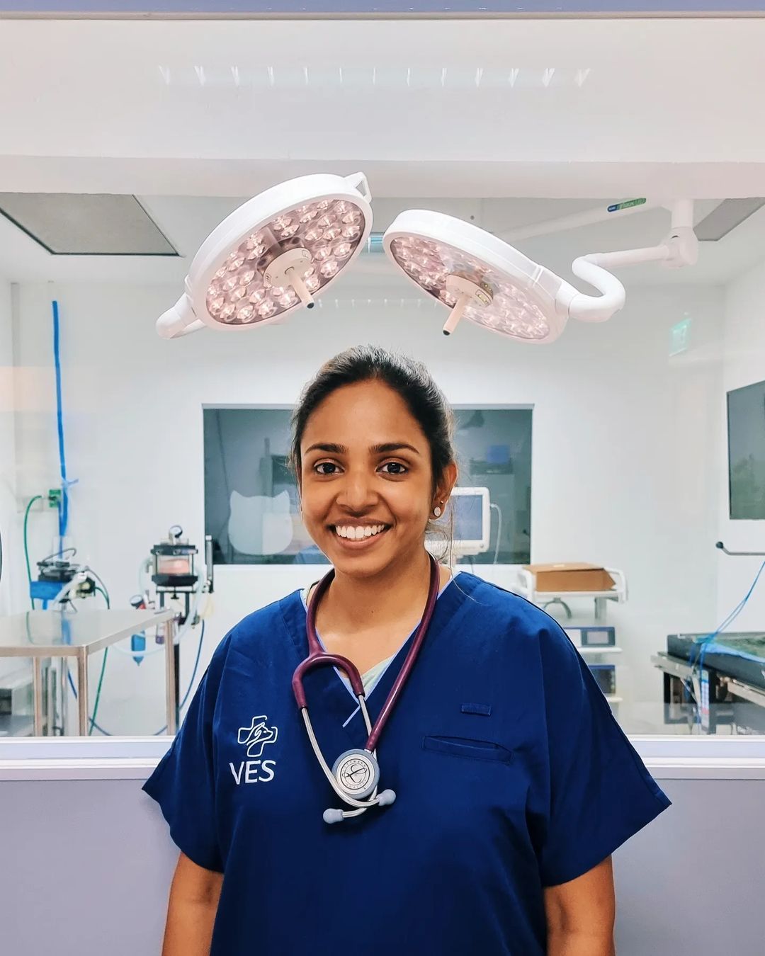 VES Hospital Pte Ltd @ 2 Rochdale Road