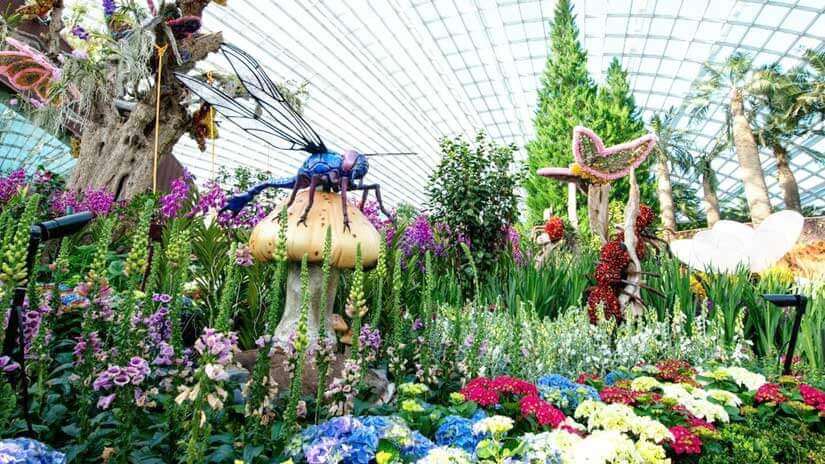 Singapore City Tour with Gardens by the Bay Admission @ Gardens by the ...