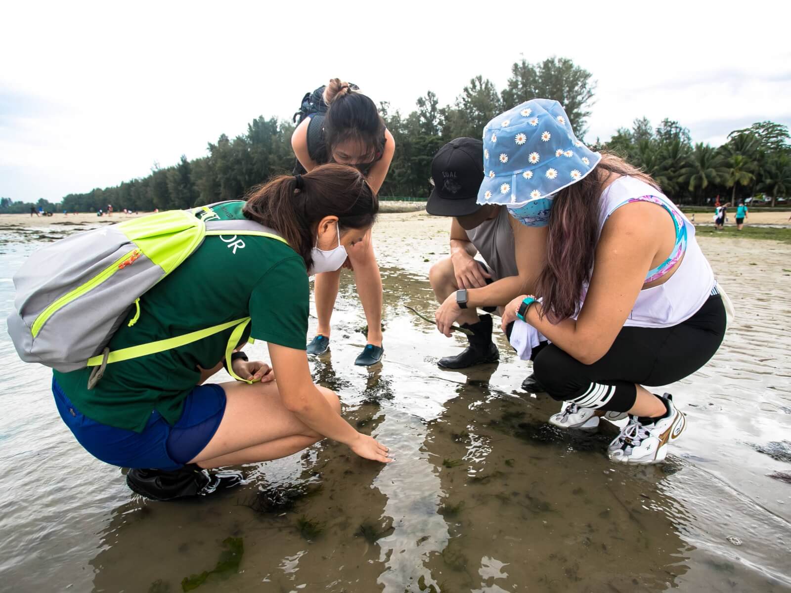 Experiential Intertidal Exploration by The Untamed Paths @ Changi Beach ...
