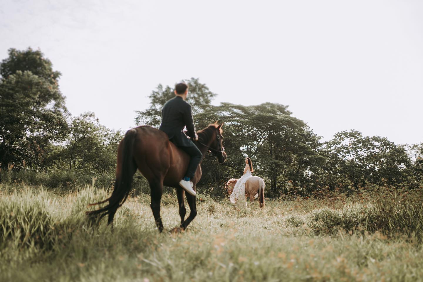 Horsecity Gallop Stable @ Horse Garden - Horsecity