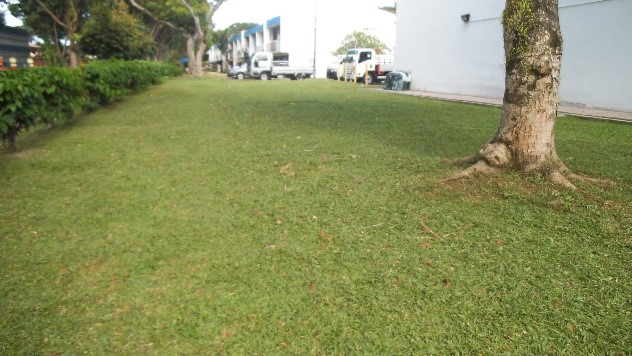 BSG Landscape & Construction Pte Ltd @ Northpoint Bizhub