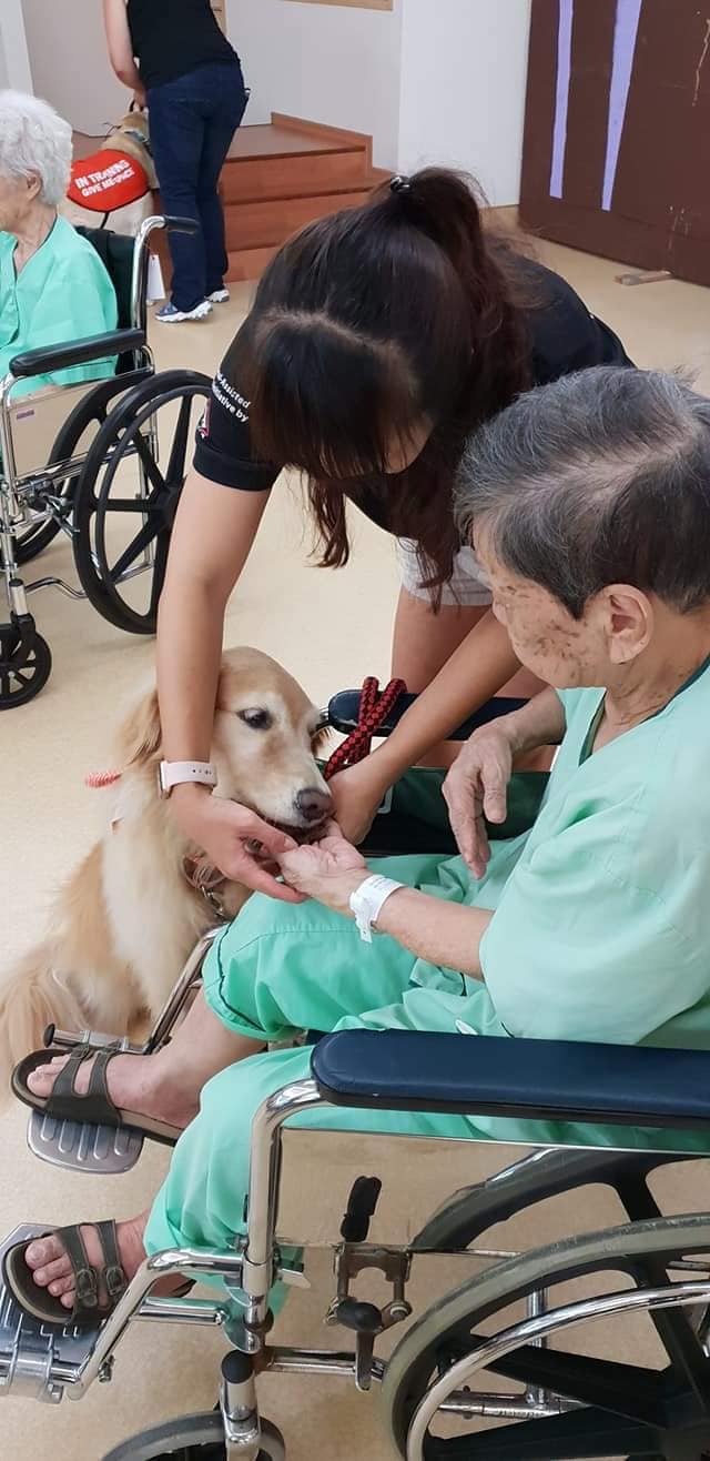 Bright Vision Hospital | Bright Vision Hospital Singapore