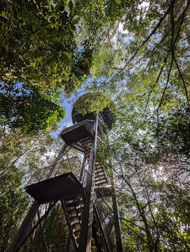 Rustic Ubin and Wetlands Tour in Pulau Ubin and Chek Jawa @ Changi ...